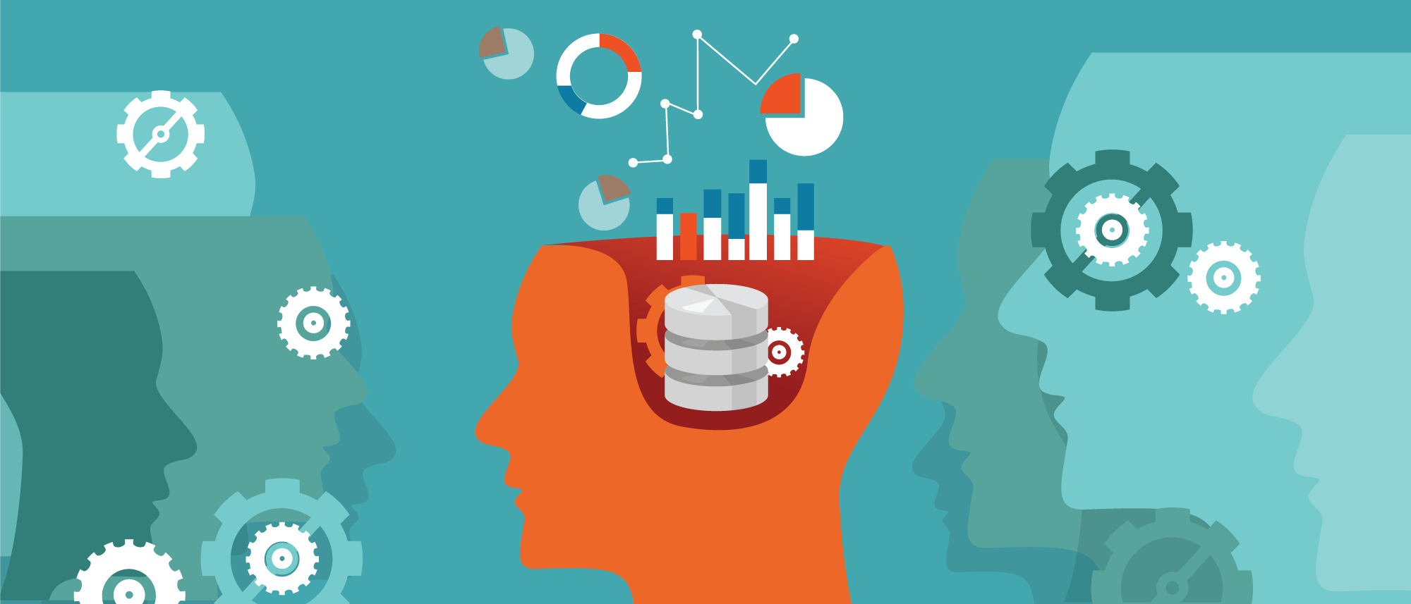 Dealing with databases • The SEO Framework Dealing with databases • The SEO Framework